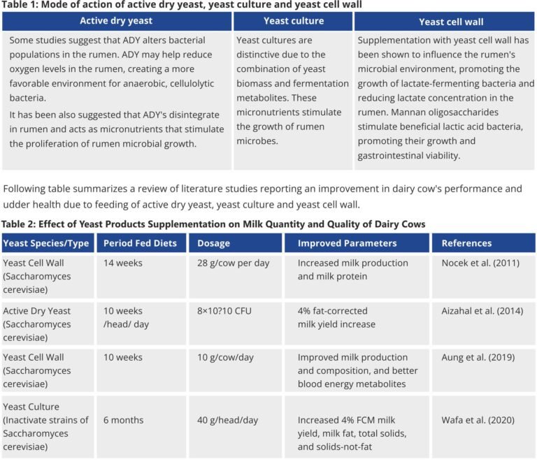 Yeast for the Rumen: Active Dry Yeast, Yeast Culture, or Yeast Cell ...