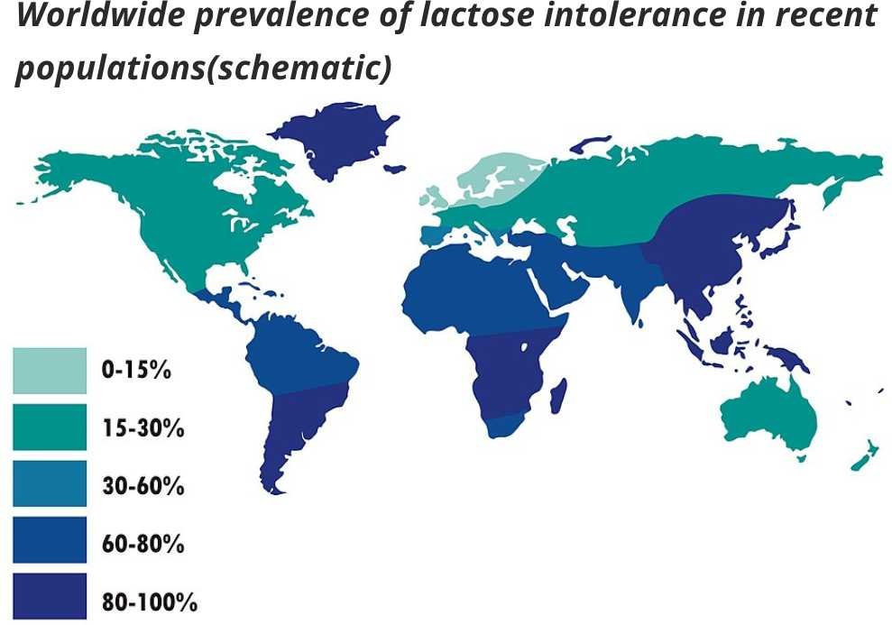 Lactose Maldigestion and Lactose Intolerance: Two Different Issues ...